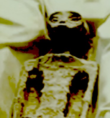 Filer’s Files Sept. 15 2023 Alien Shown in Mexico - National UFO Center
